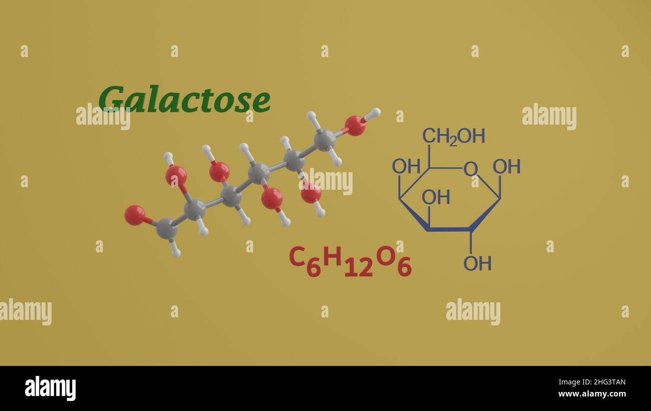Galactose reducing sugar monosaccharide science chemical structure and ...