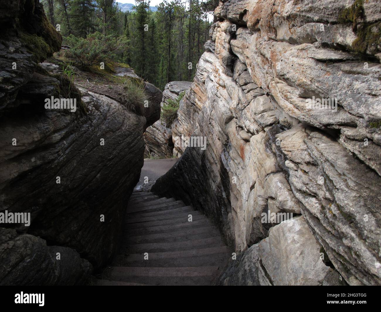 Hiking trail at Athabasca Falls in Jasper National Park,Alberta,Canada ...