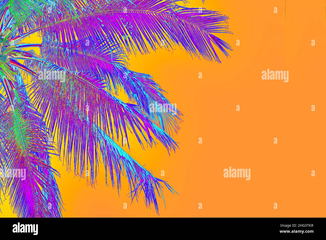 Purple neon background hi-res stock photography and images - Alamy