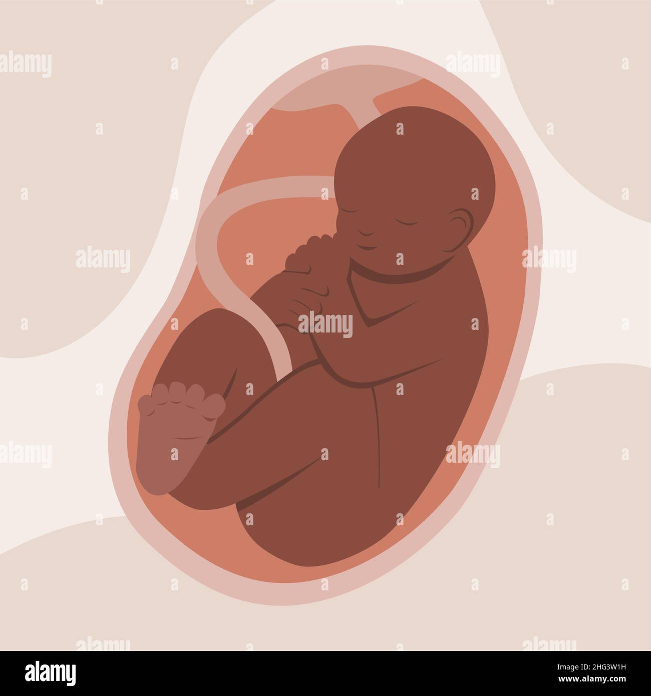 Hand drawn adorable fetus illustration Vector illustration Stock Vector ...