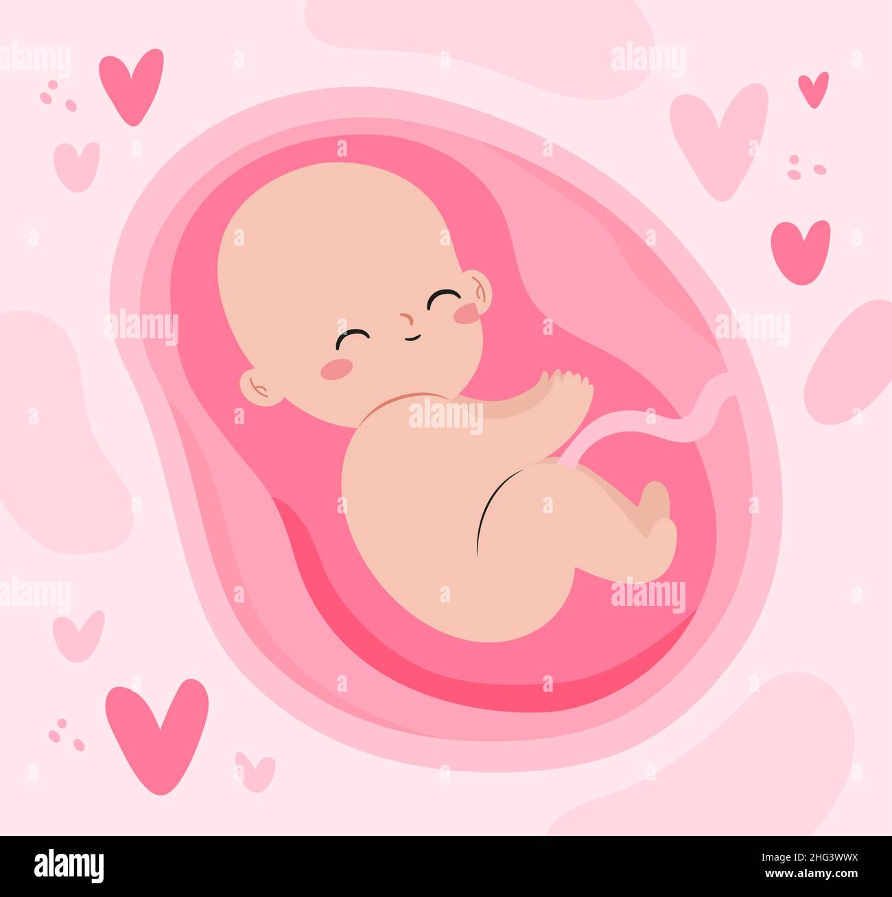 Hand drawn adorable fetus illustration Vector illustration Stock Vector ...