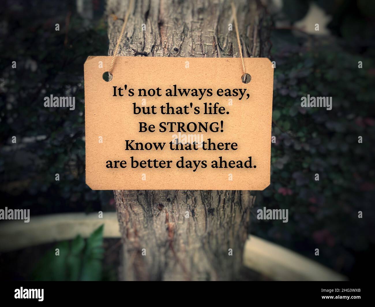 Motivational and inspirational quote on a cardboard with trees and park ...