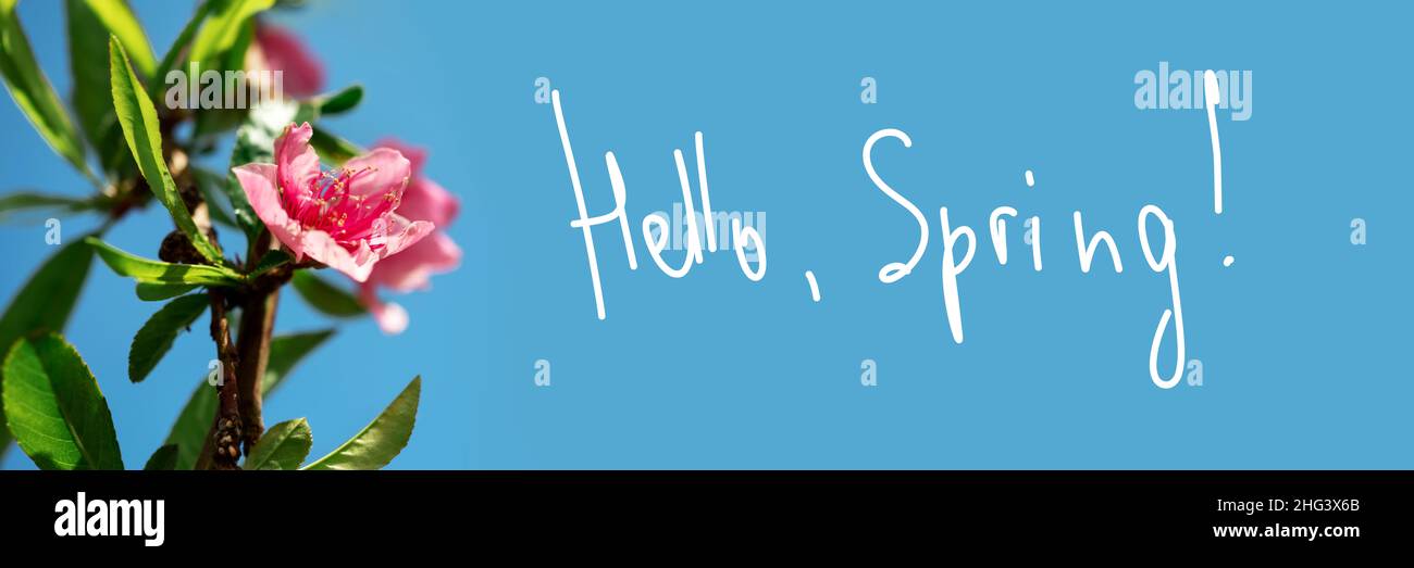 Hello Spring Facebook Cover