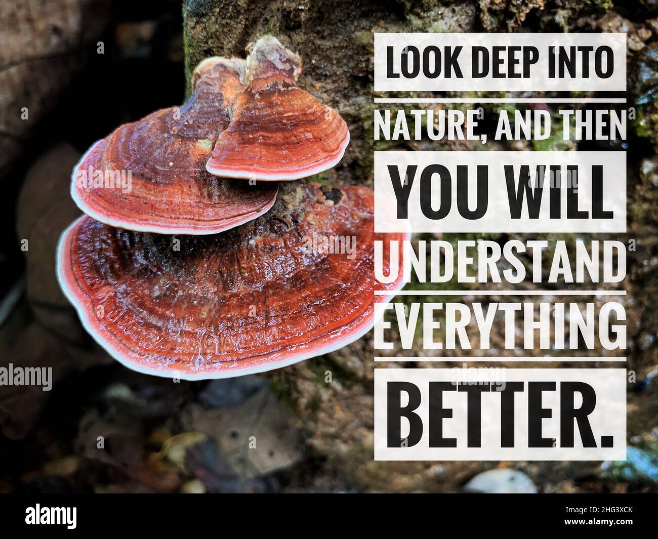 Look deep hi-res stock photography and images - Alamy