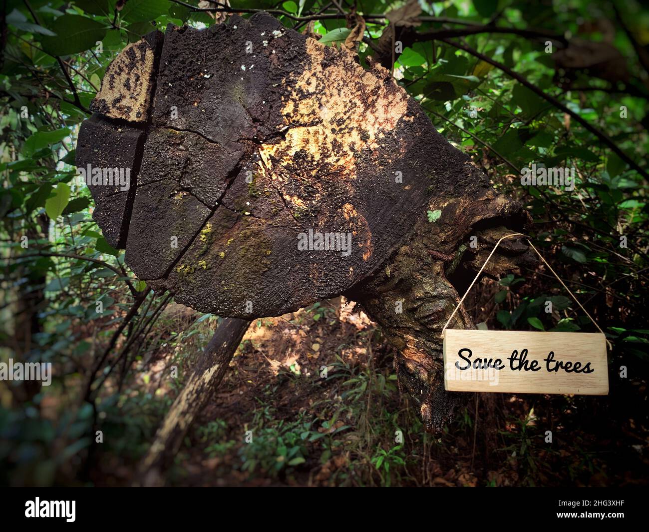 save the trees text on small wooden block. With tree and jungle ...