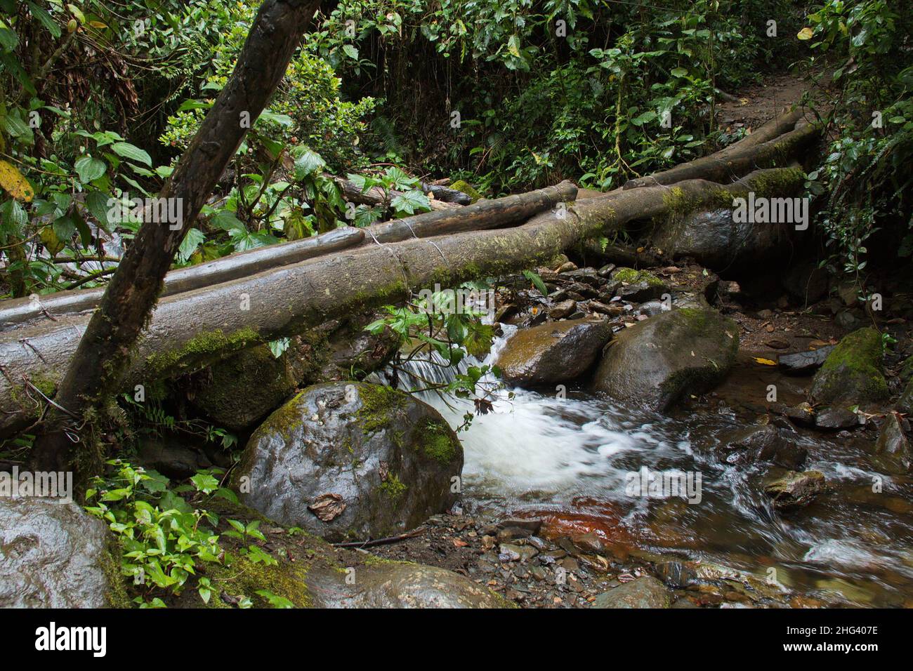 Simple bridge in Cocora valley near Salento in Colombia,South America ...
