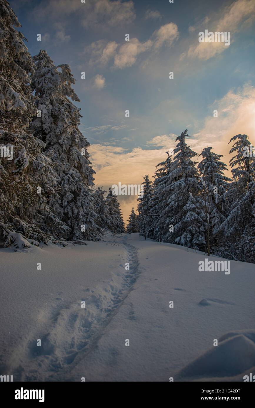 Cold morning in the mountains Stock Photo - Alamy