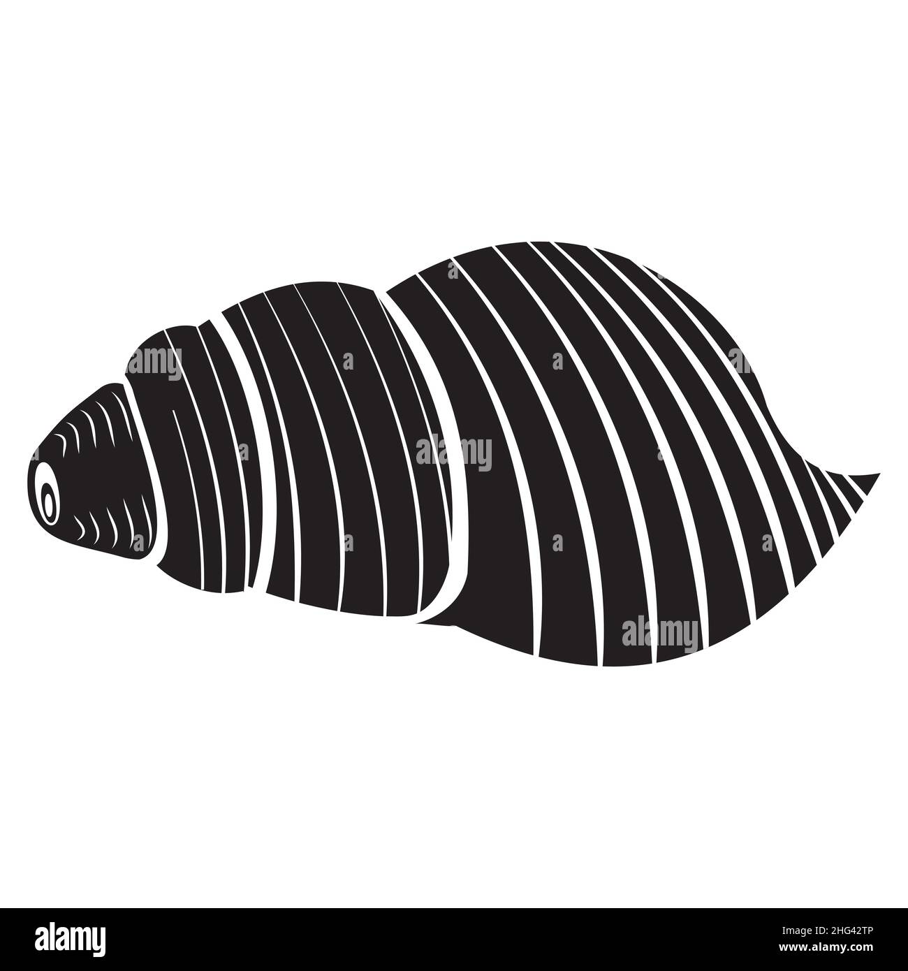 Insulated seashell. Vector illustration black icon Stock Vector Image ...