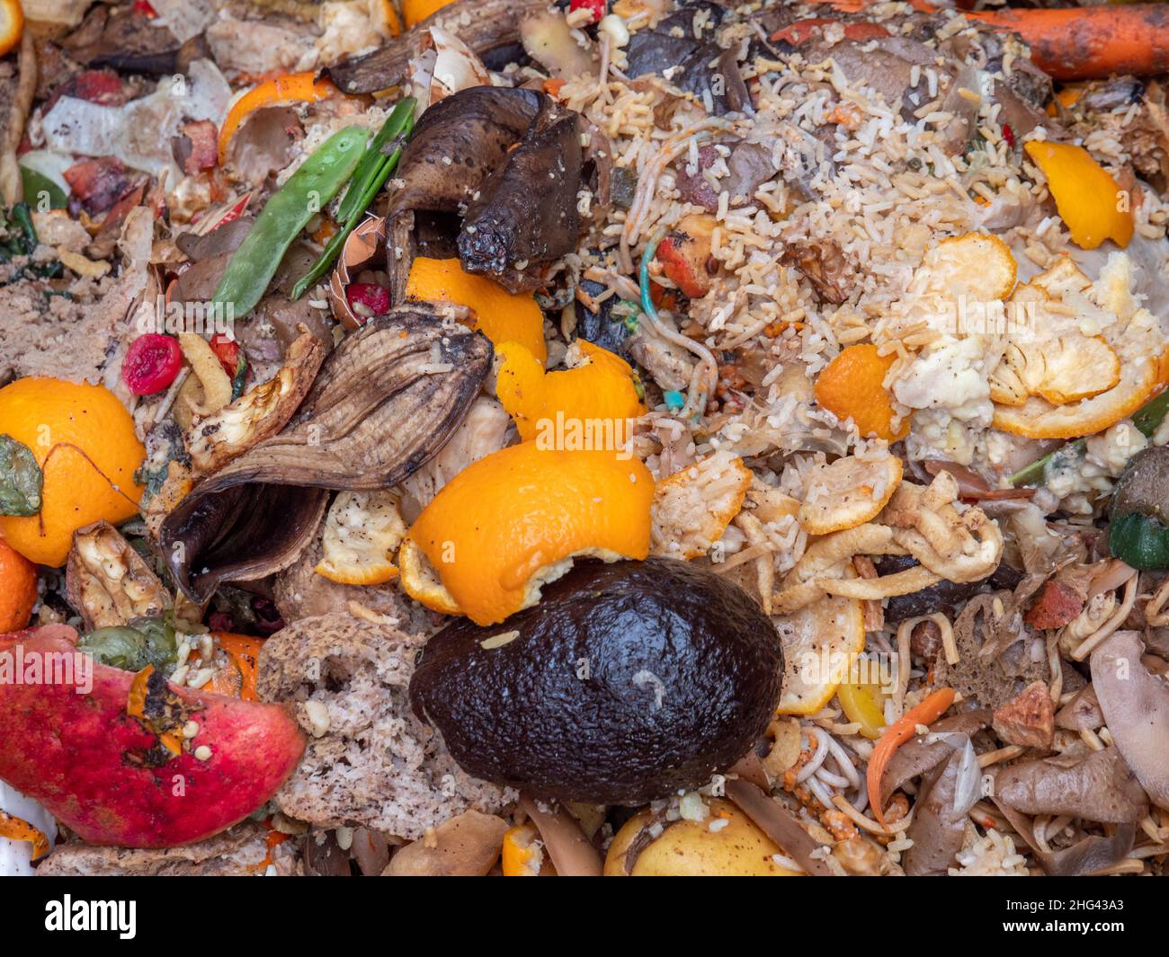 Organic waste in the composter Stock Photo - Alamy