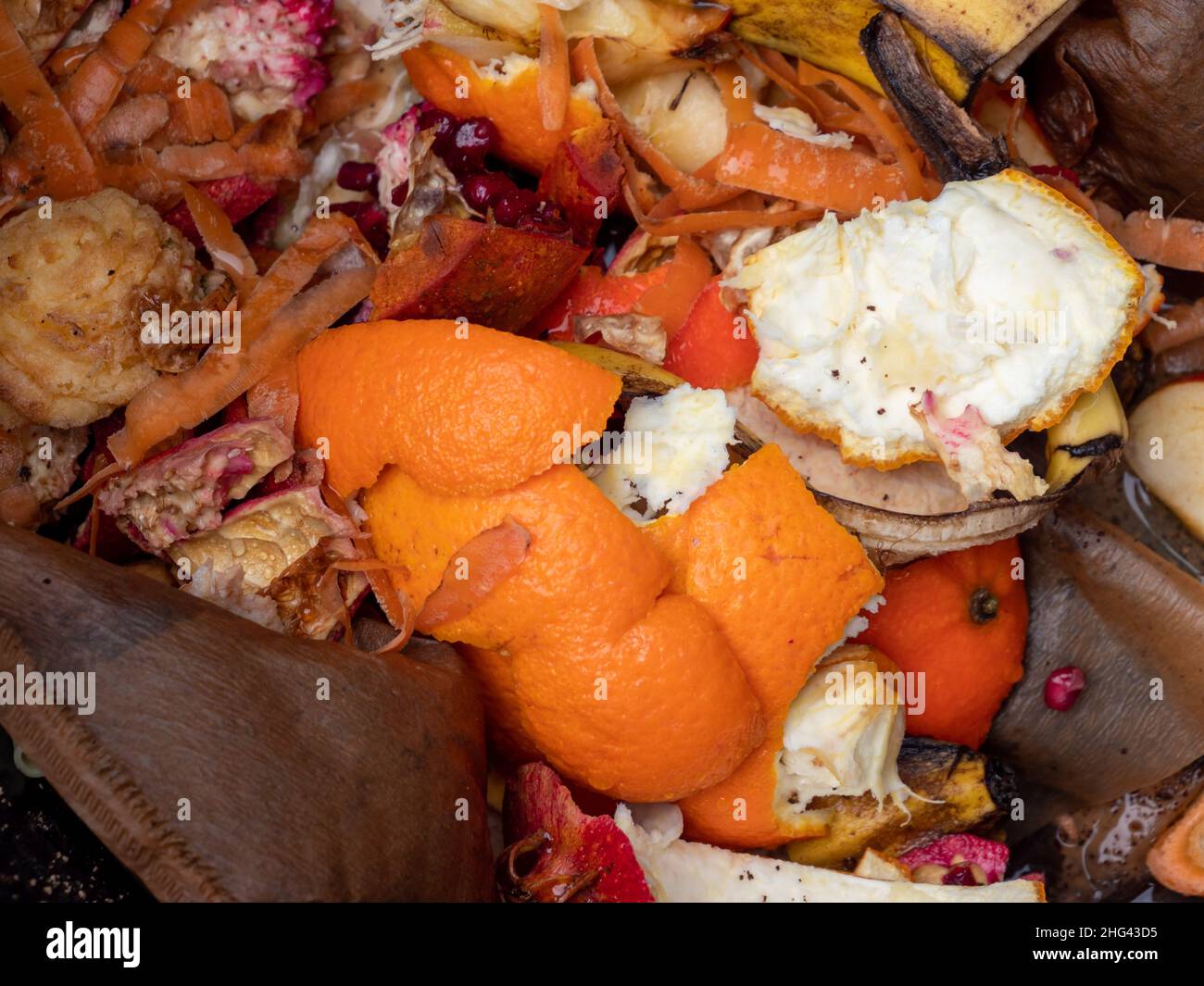 Organic waste garden in the composter Stock Photo - Alamy