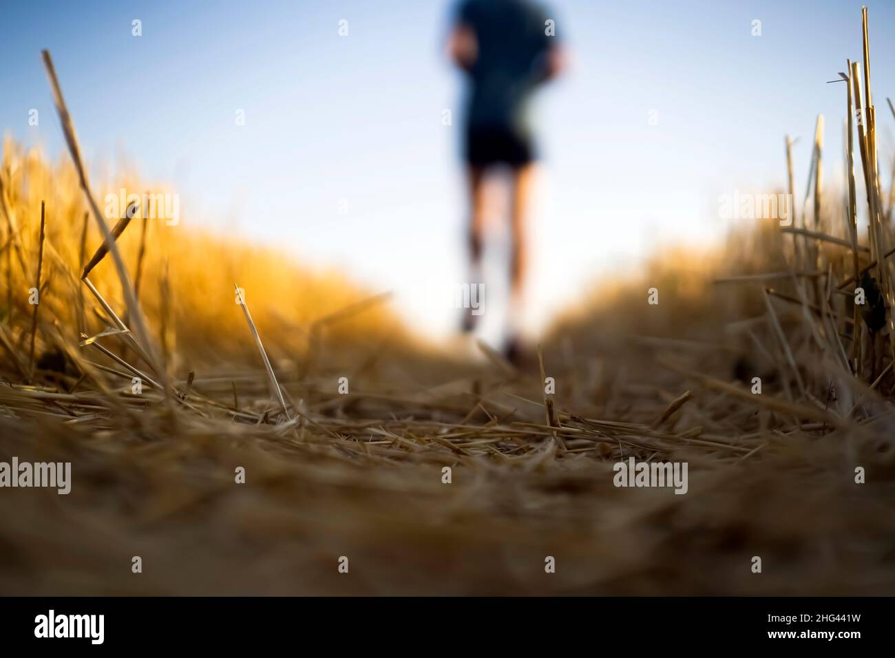 Sports field early morning hi-res stock photography and images - Alamy