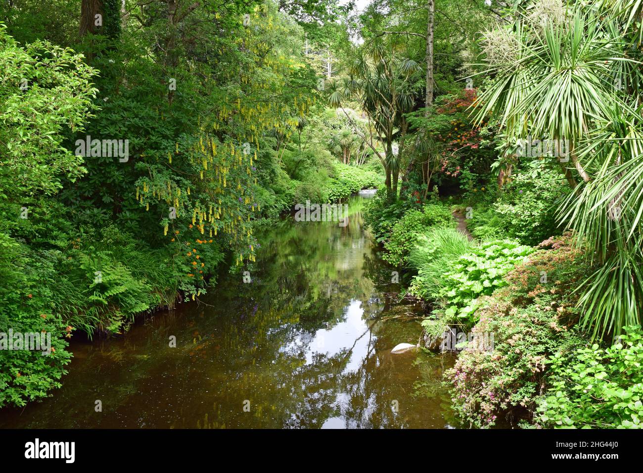 The Vartry river flowing over a weir surrounded by greenery on either ...