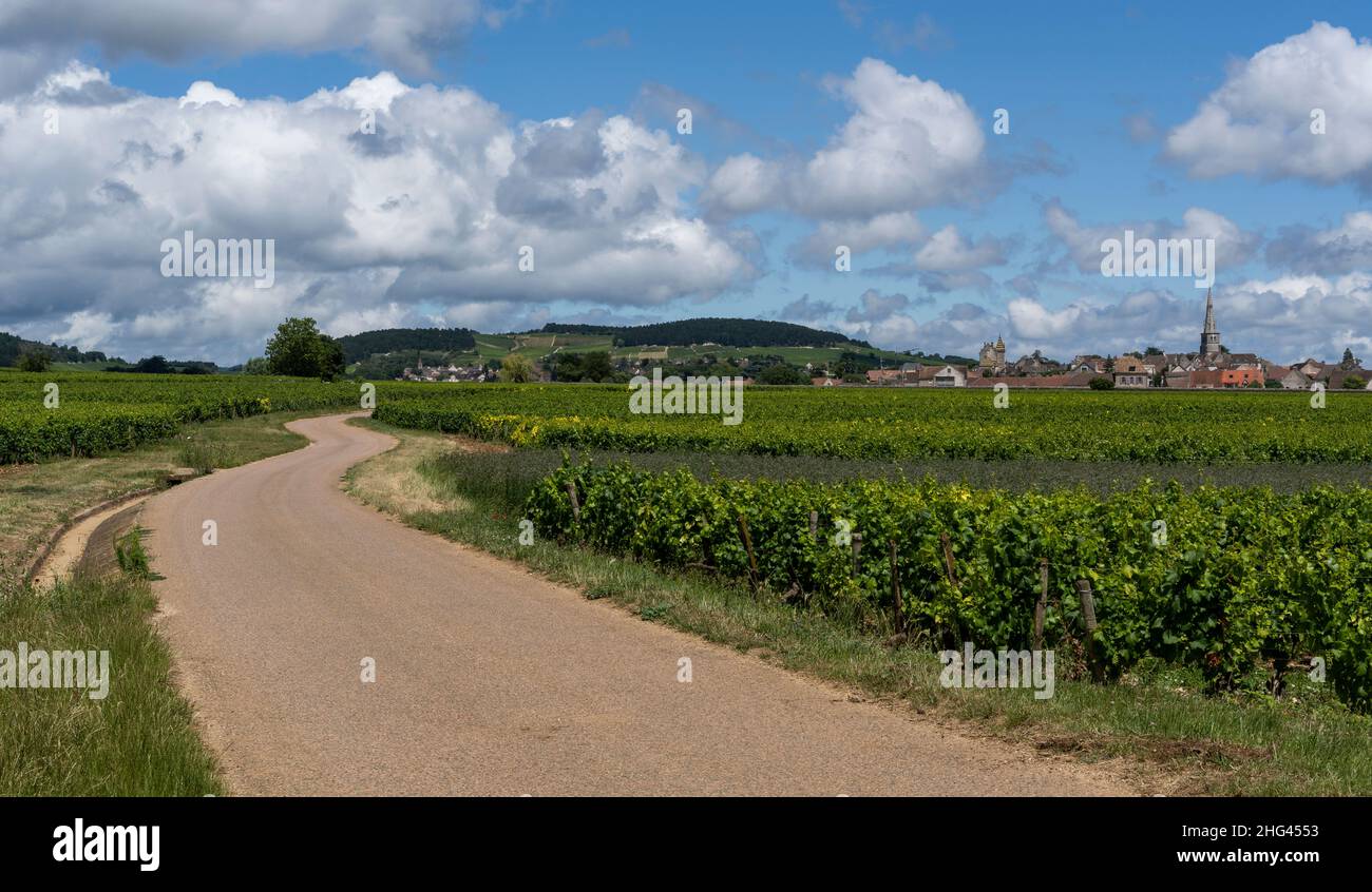 Village of meursault hi-res stock photography and images - Alamy