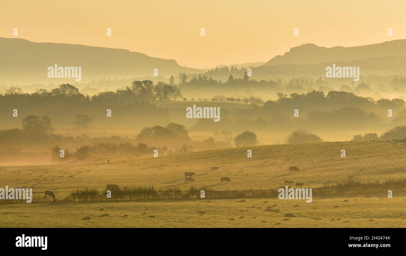 misty sunrise in Stirlingshire, Scotland with the campsie fells (right ...