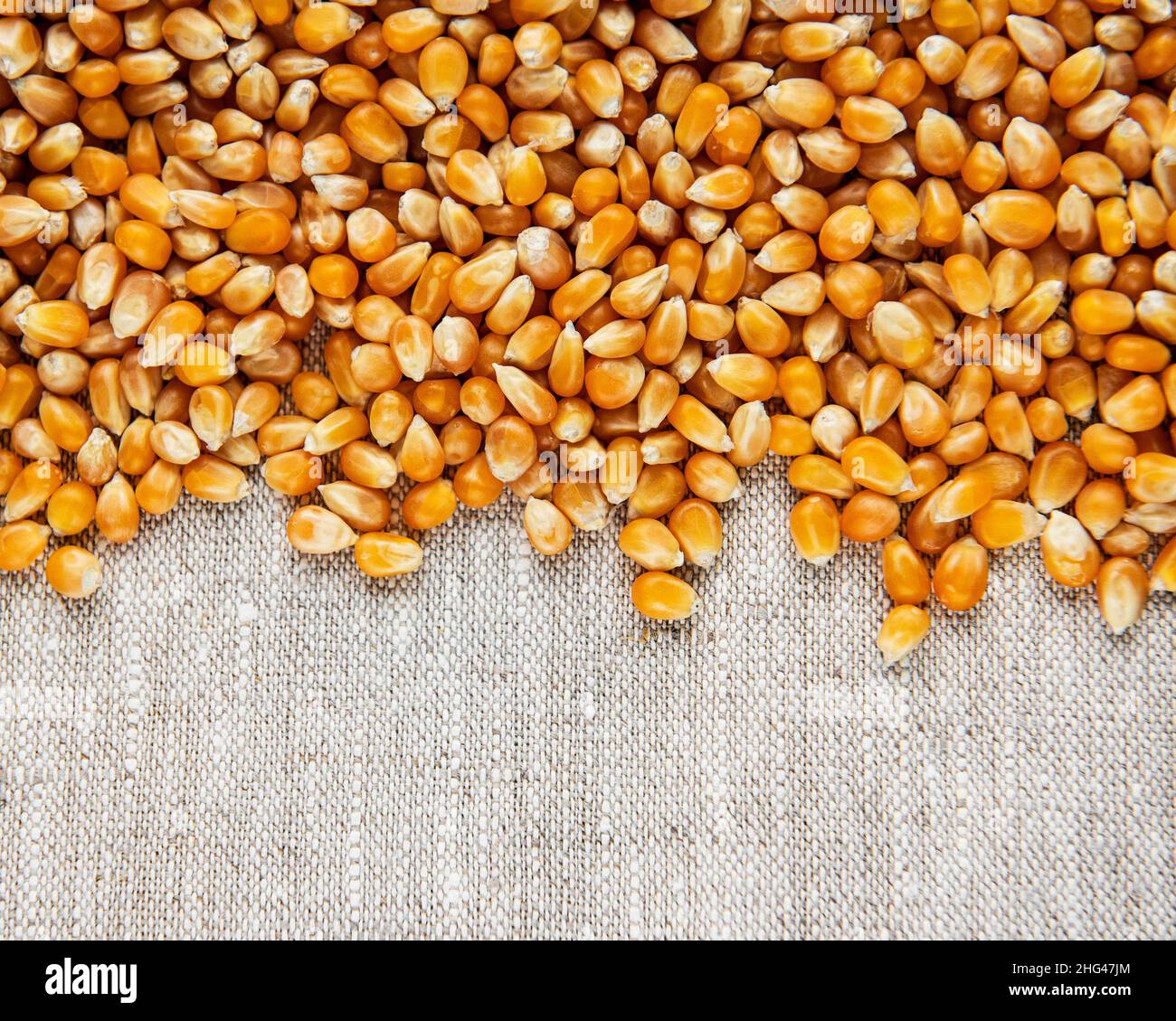 Dry Corn seeds on a old textile background Stock Photo - Alamy