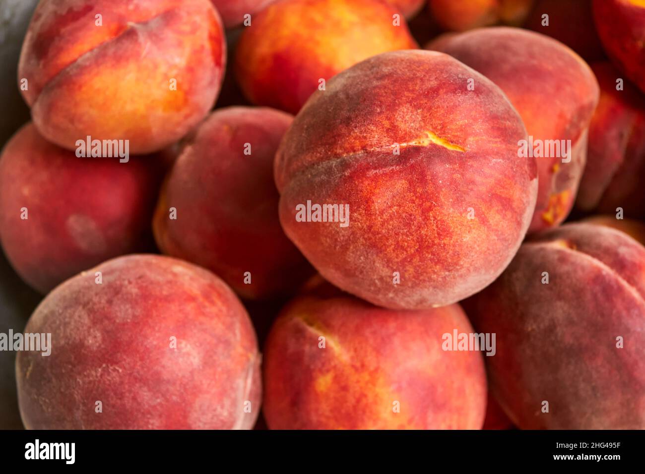 Perfect ripe orange peaches. A bunch of fresh peaches. Summer fruit ...