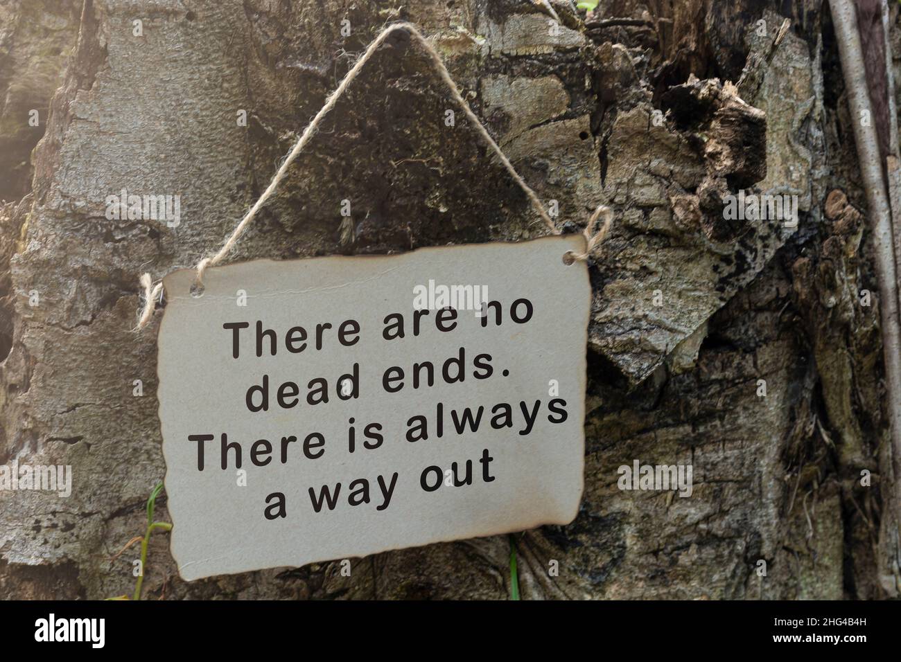 Inspirational and motivational quote on old tree trunk background ...