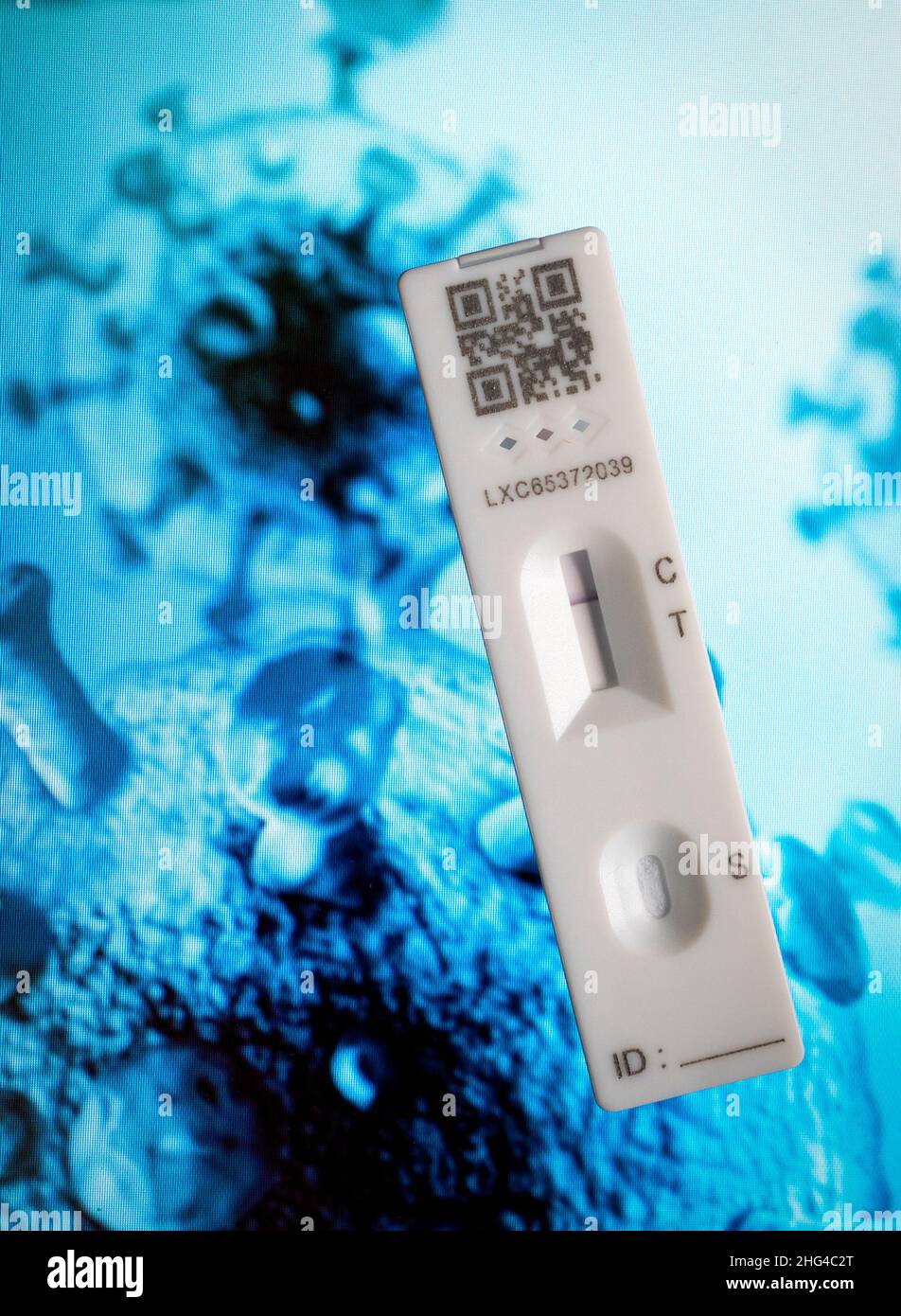 Lateral flow test showing negative result hi-res stock photography and ...