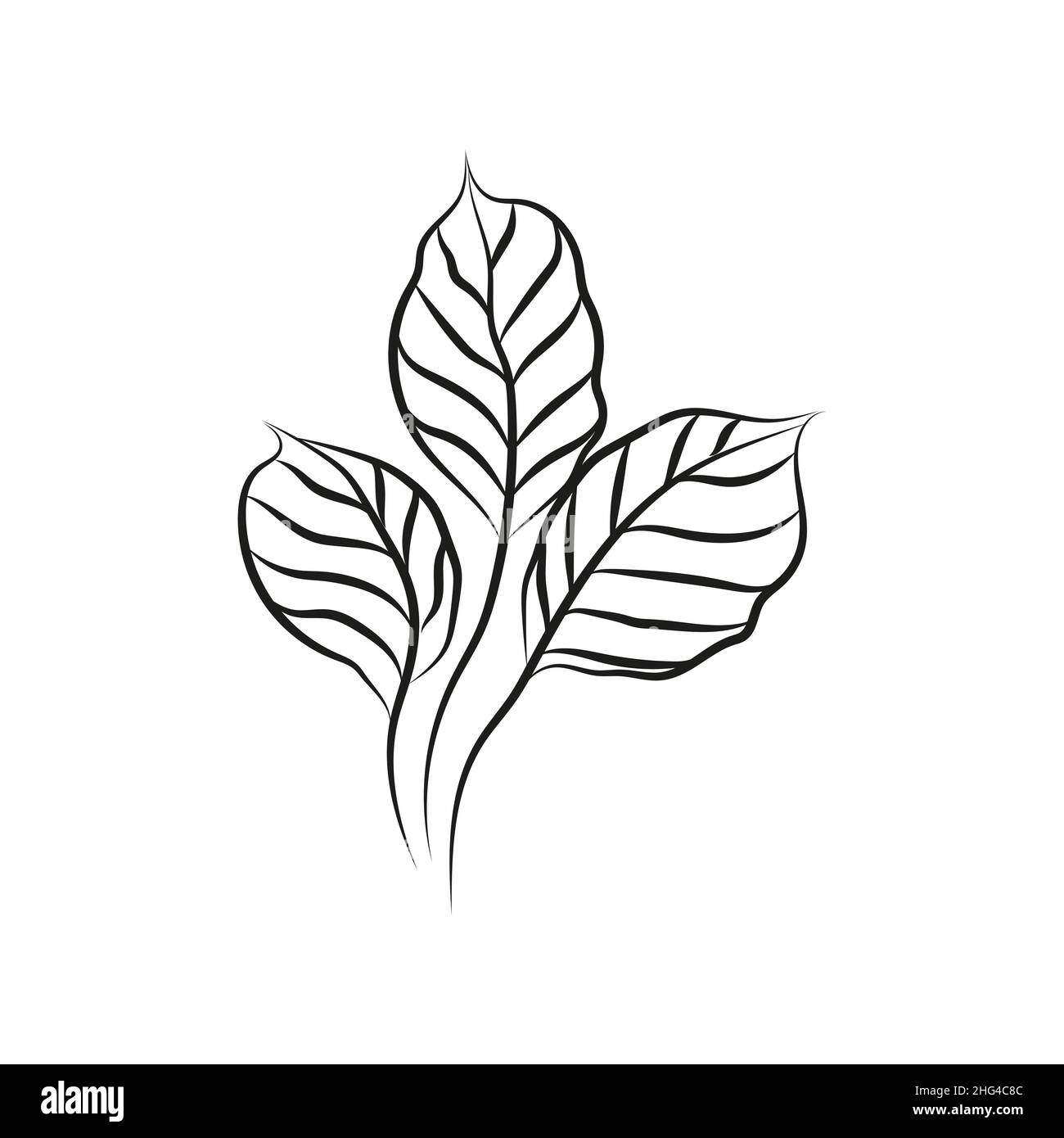 Leaf logo design, vector natural concept inspiration, leaf icon. Leaves ...