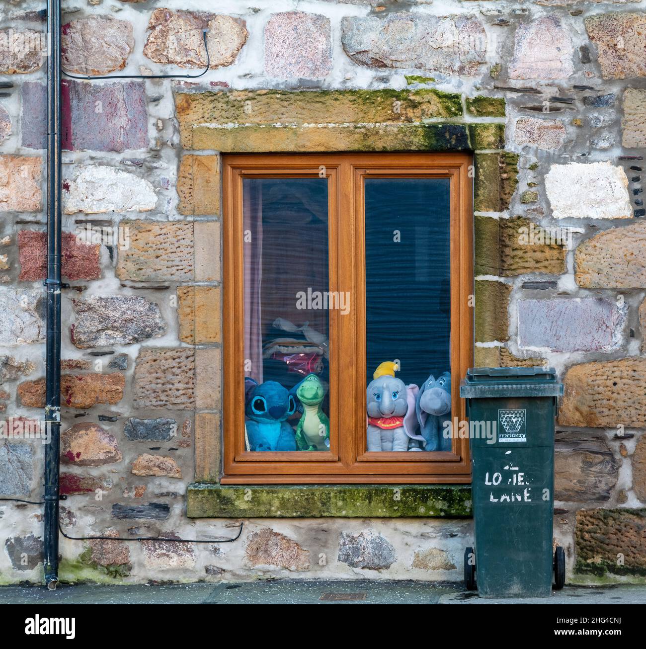 This is a window display in a dwelling with its cuddly toys on display ...
