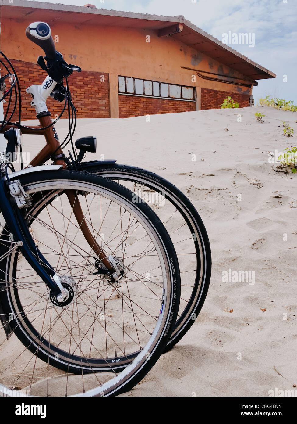 Beach Cycling Wallpaper