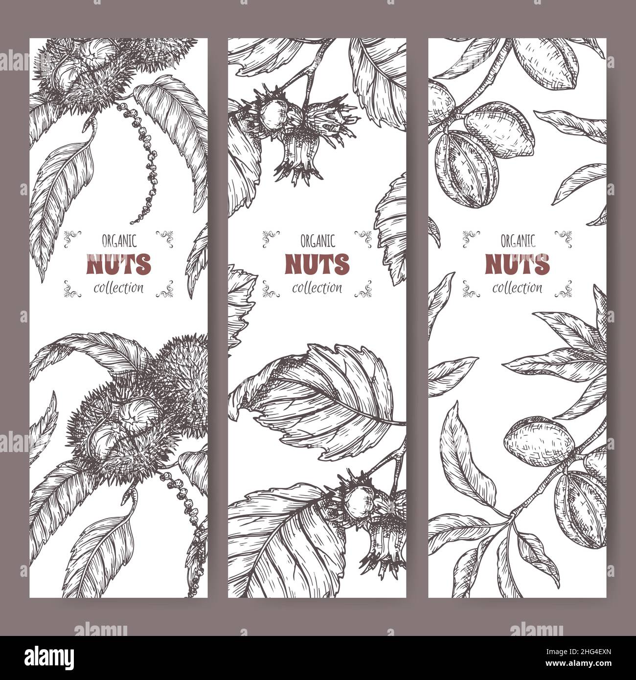Set of three labels with sweet chestnut, common hazel and almond branch ...