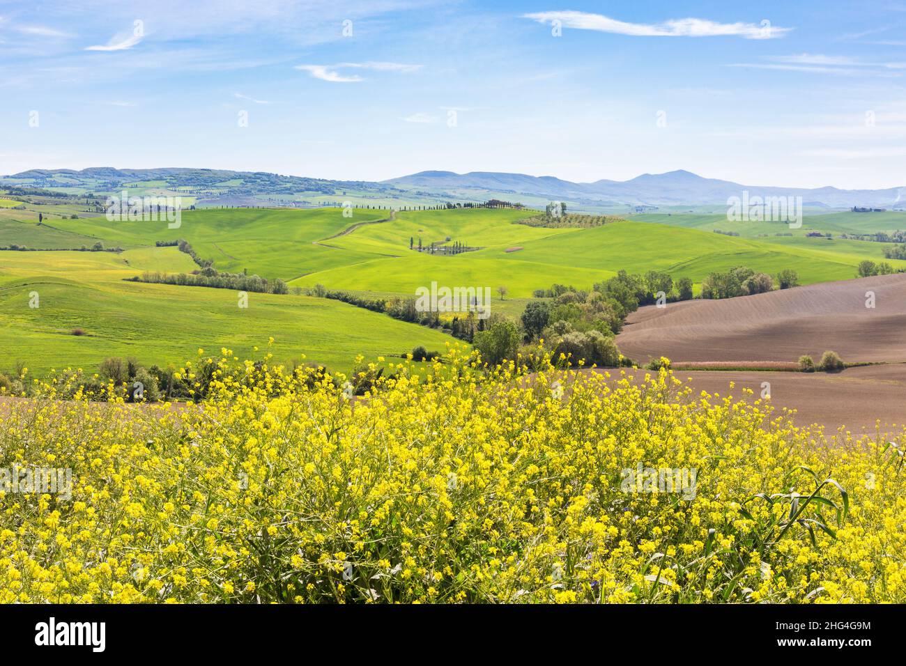 Italian spring flowers hi-res stock photography and images - Alamy