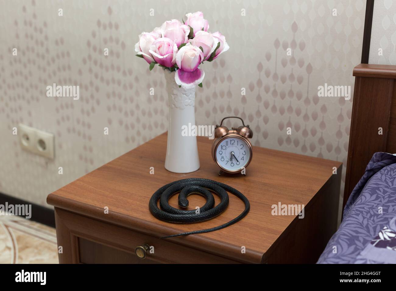 A black poisonous snake bedside table crawled into the house Stock ...