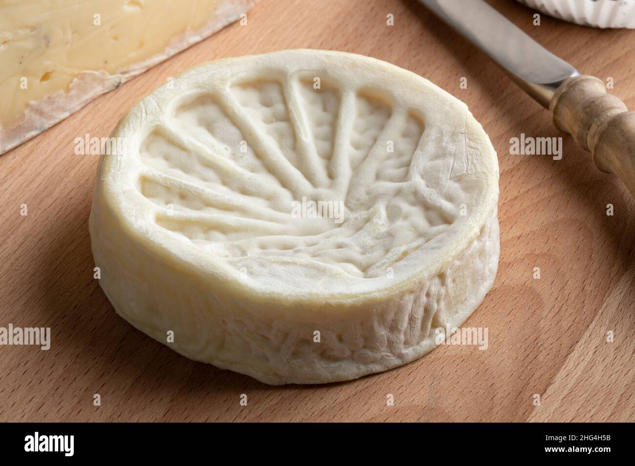 Single piece of French le Compostelle goats cheese on a cutting board ...