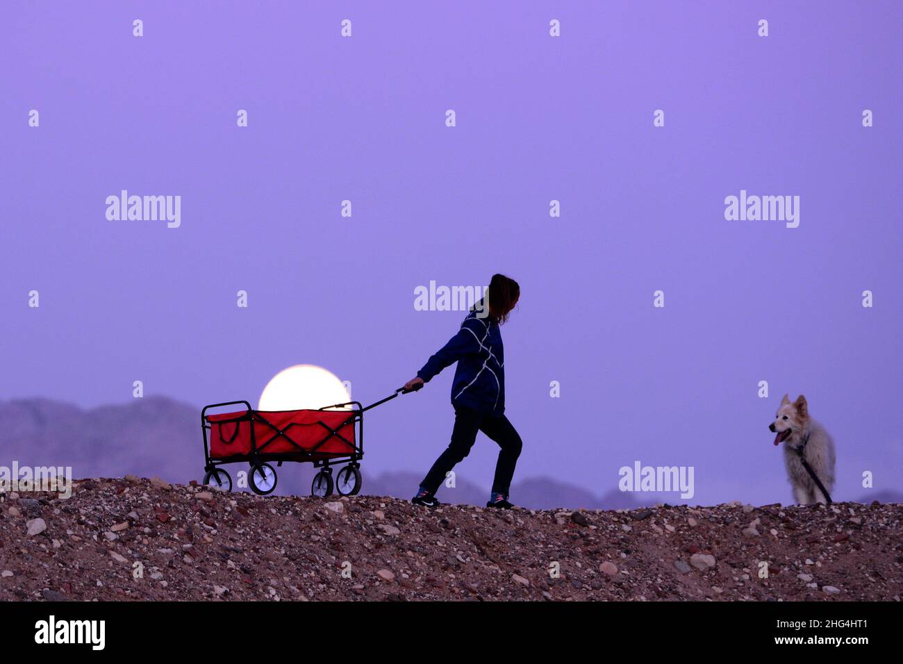 Dog and full moon hi-res stock photography and images - Alamy
