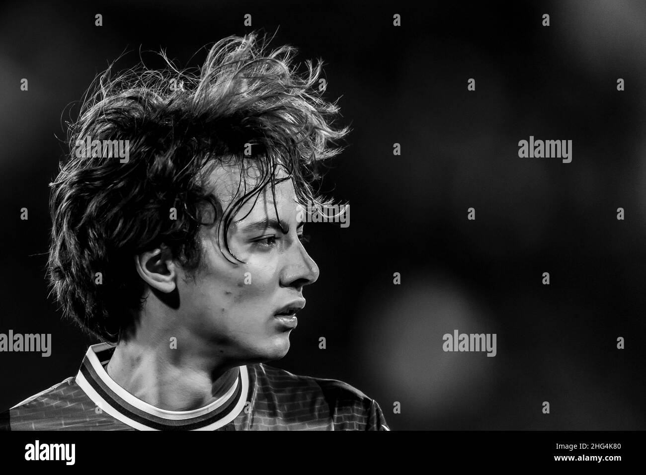 Dall ara stadium Black and White Stock Photos & Images - Alamy