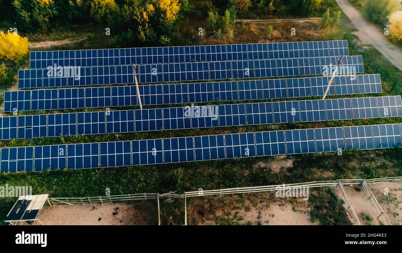 Aerial view of solar panels system near trees Stock Photo - Alamy