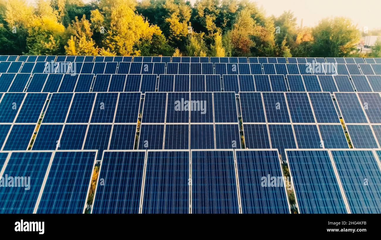 Aerial view of solar panels system near trees Stock Photo - Alamy