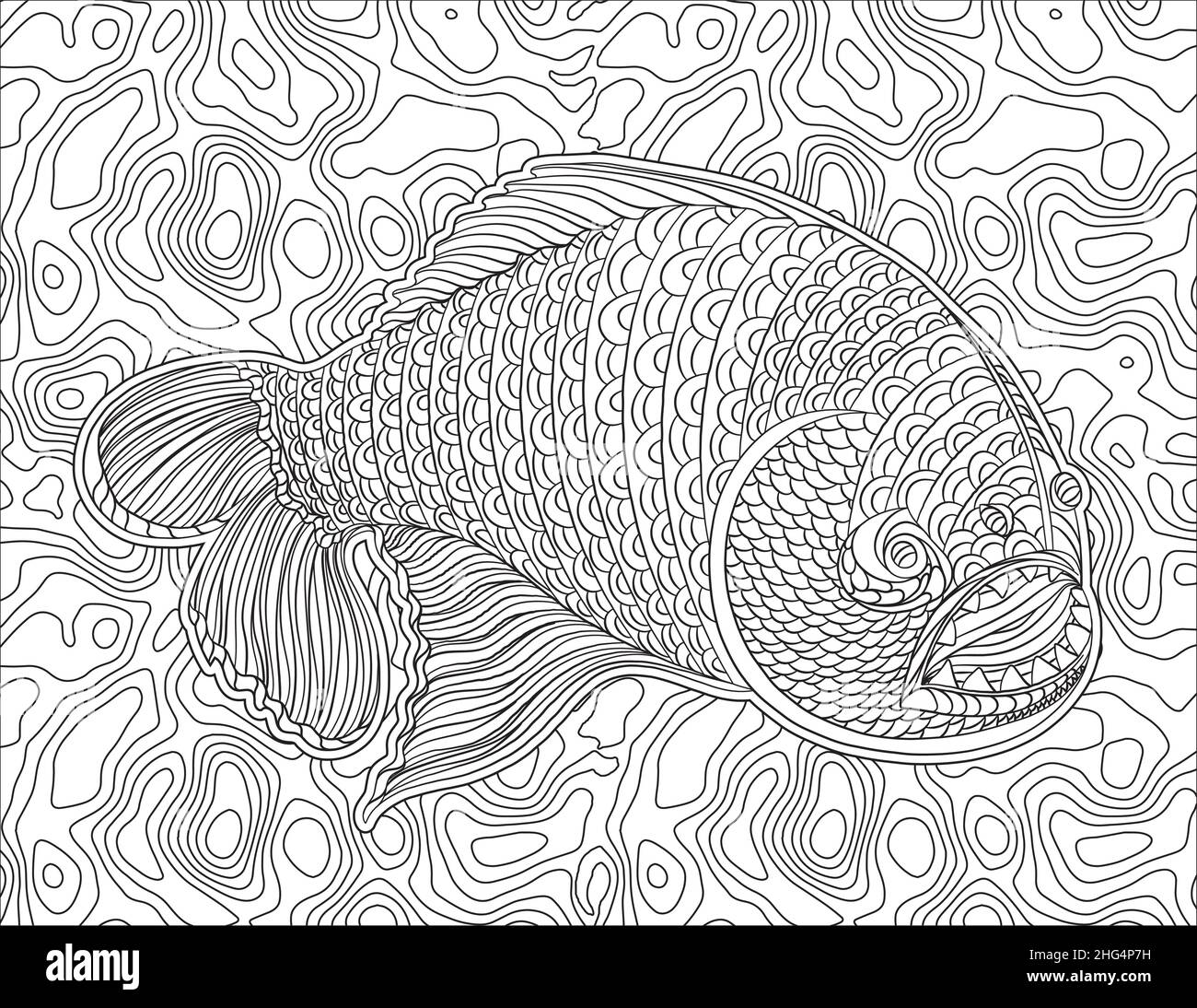 Giant Fish With Big Teeth Line Drawing With Sea Weed Detailed ...