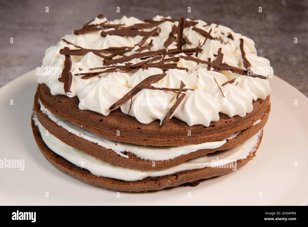 Chocolate Plate Designs