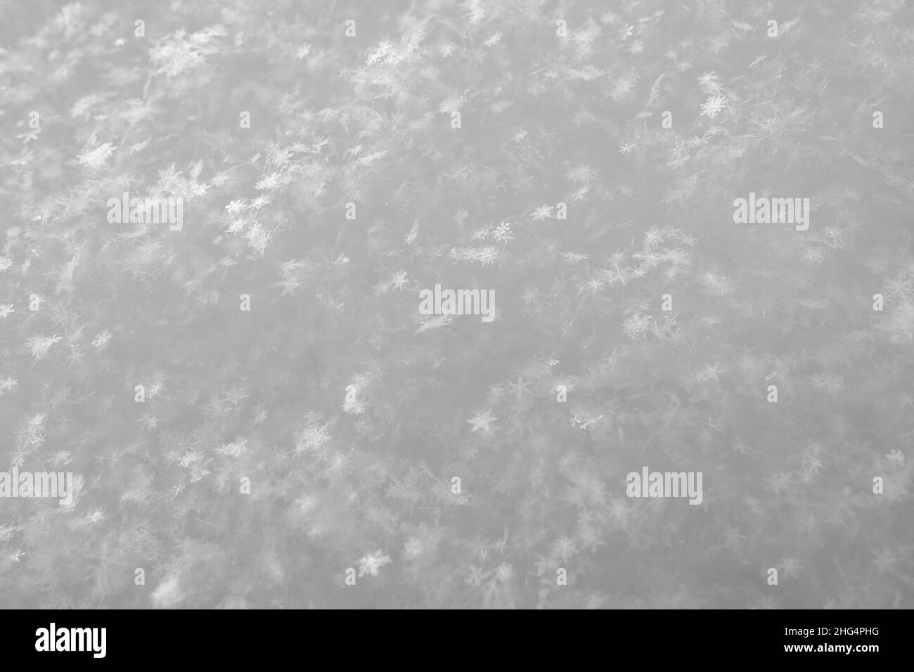 Crystals of snowflakes glow in the rays of the sun, on fluffy snow, on ...