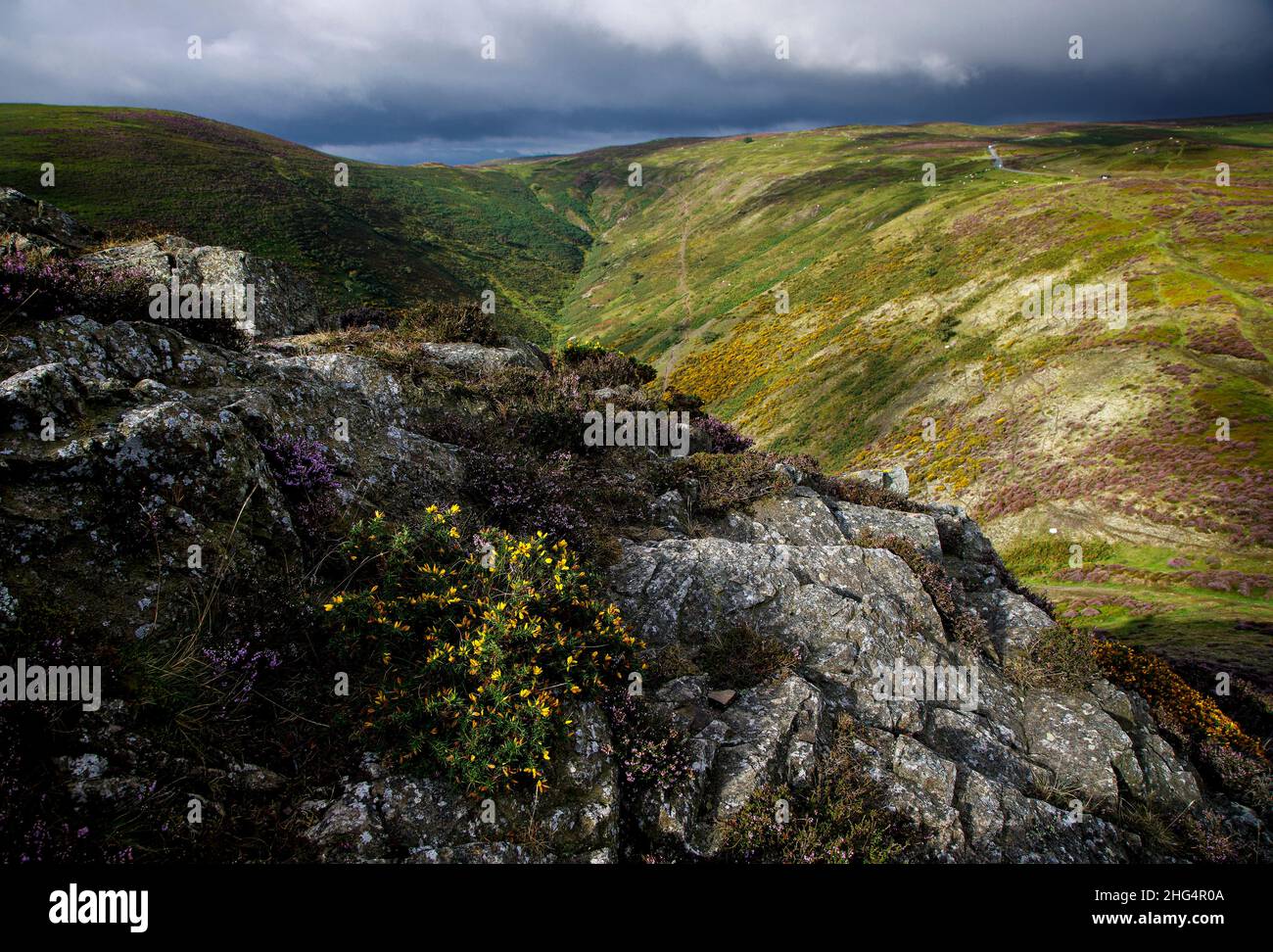 The Long Mynd, near Church Stretton, Shropshire Hills AONB Stock Photo ...
