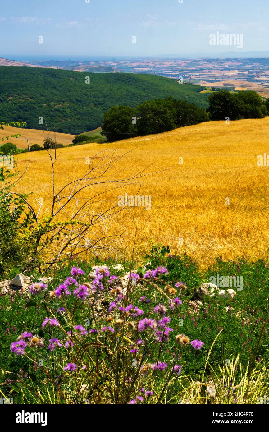 Landscape in Campobasso province, Molise, Italy, along the road to ...