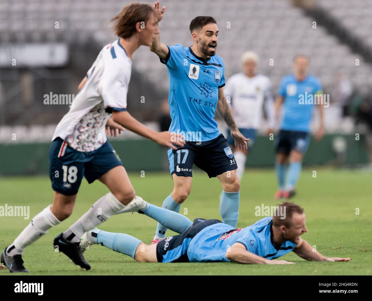 Anthony Caceres (17) of Sydney FC looks dejected during the FFA Cup ...