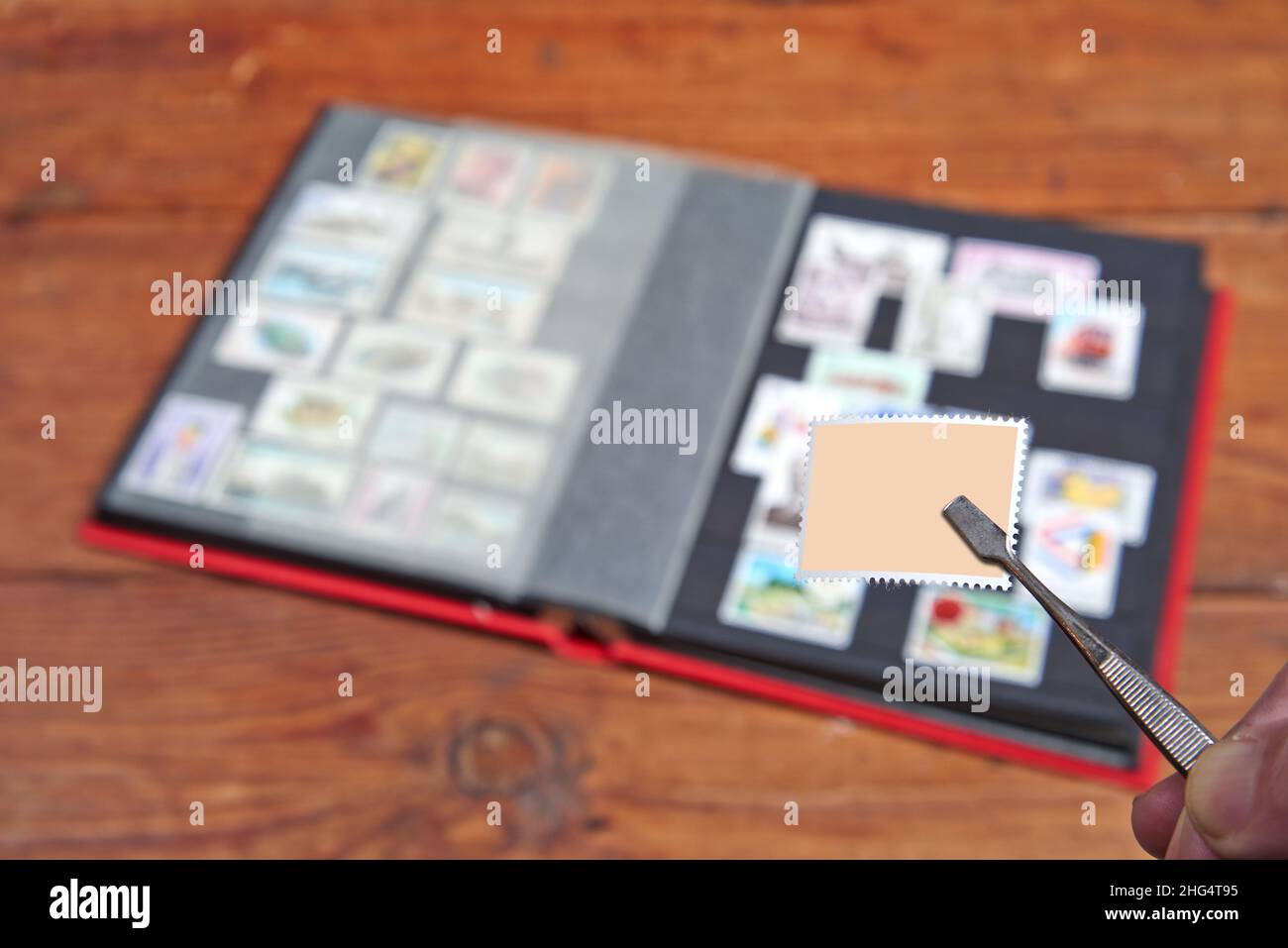 Postage stamps album and hand showing stamp with pincer Stock Photo - Alamy