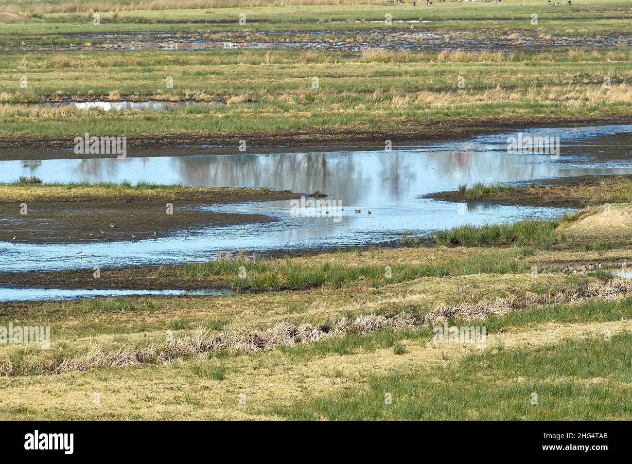 Pulborough brooks 2022 hi-res stock photography and images - Alamy