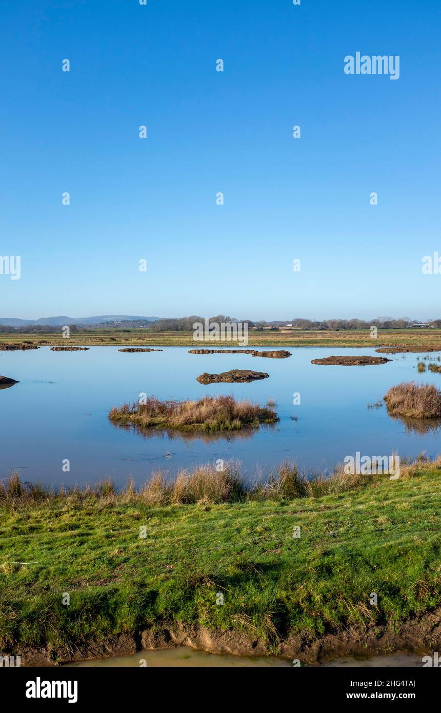 Pulborough Brooks RSPB nature reserve in Sussex in winter Sussex UK ...