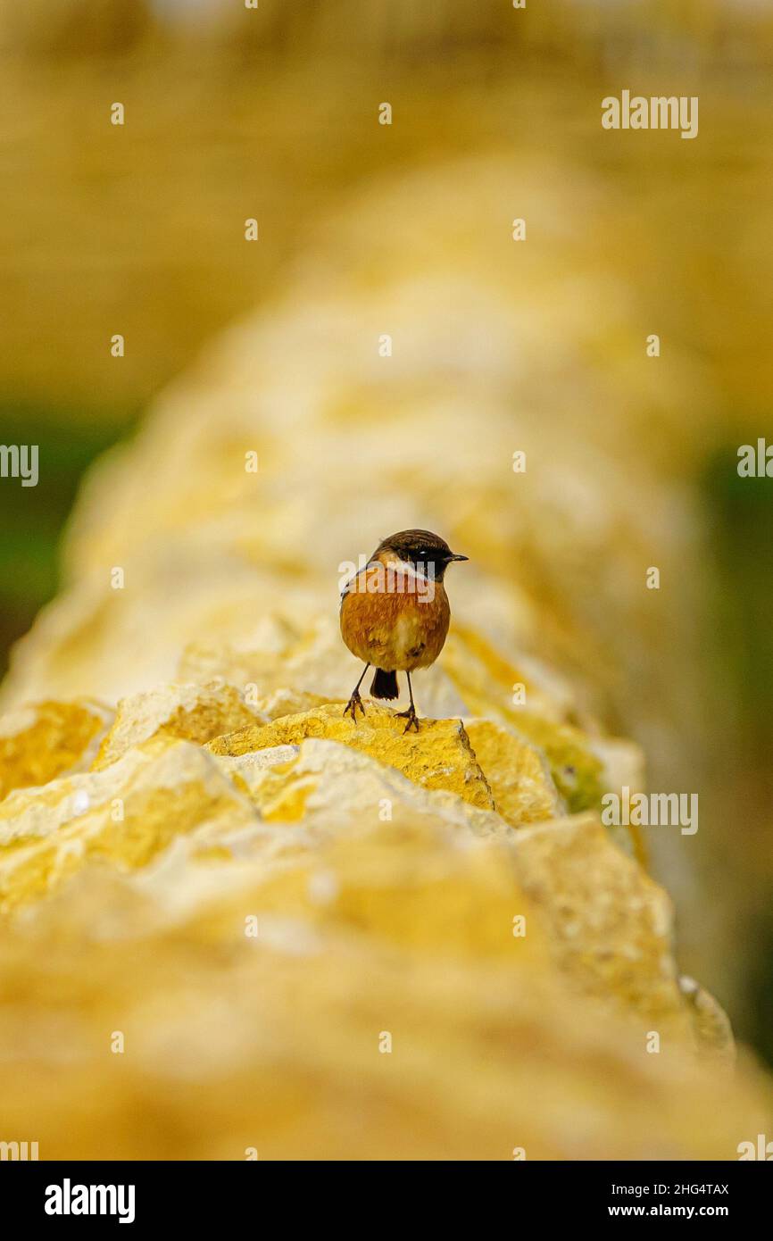 Bagpath hi-res stock photography and images - Alamy