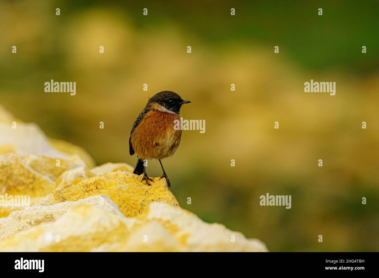 Bagpath hi-res stock photography and images - Alamy