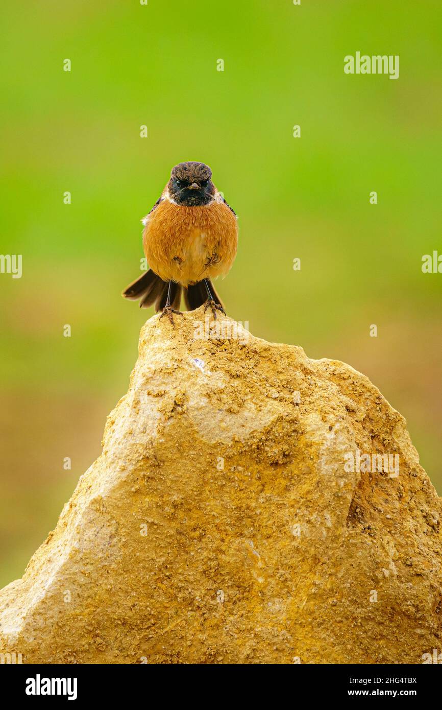 Bagpath hi-res stock photography and images - Alamy