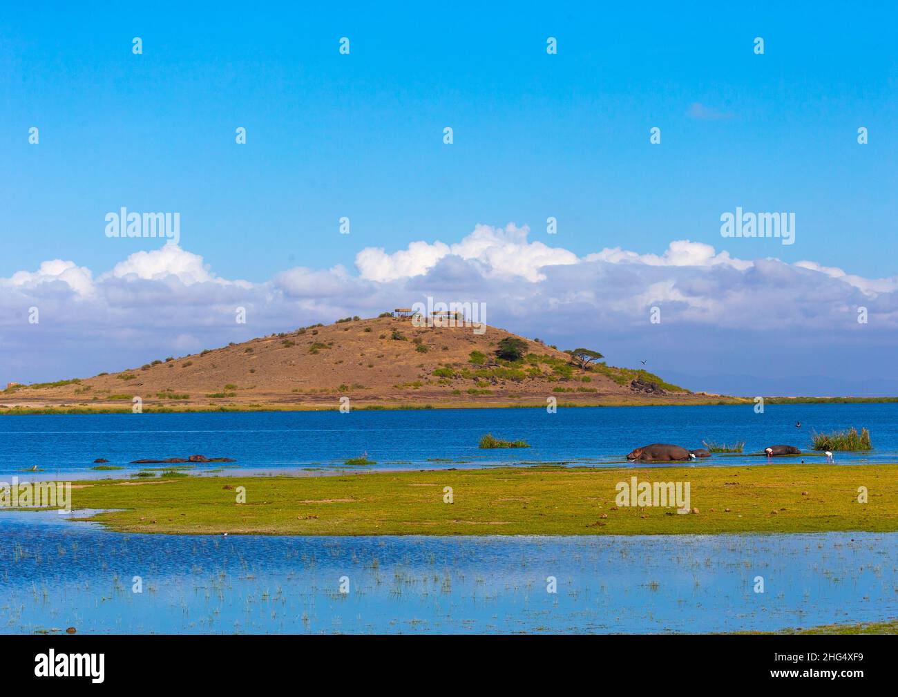 Mountain swamp hi-res stock photography and images - Alamy