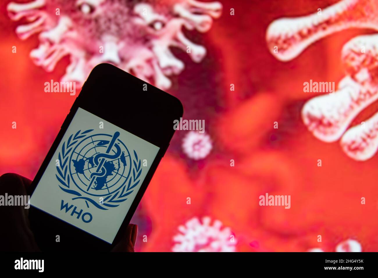 World health organization logo covid hi-res stock photography and ...