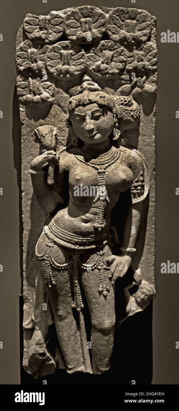 SHALABHANJIKA Young woman or Yakshini breaking a shala tree branch.11th ...