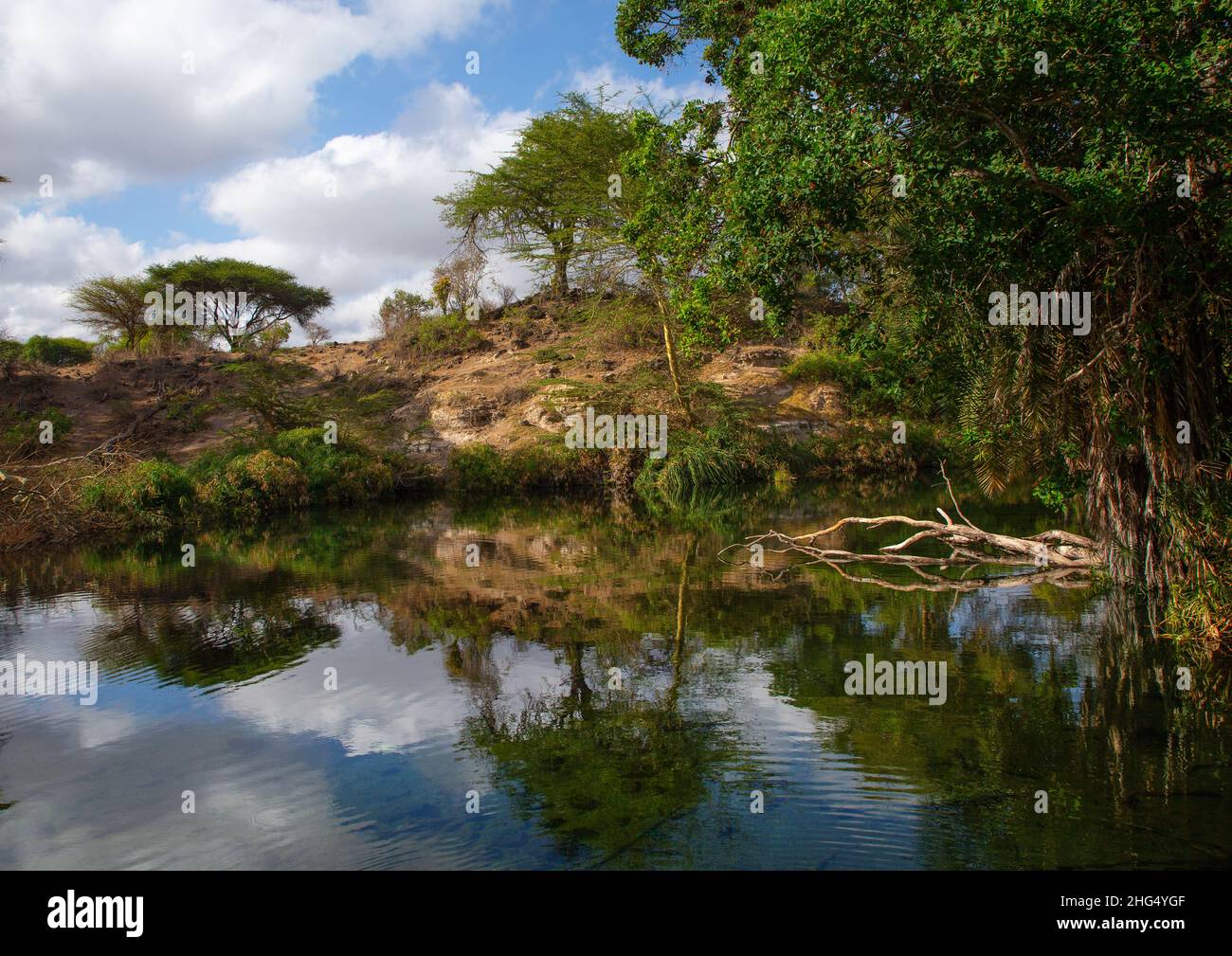 Mzima springs, Coast Province, Tsavo West National Park, Kenya Stock ...