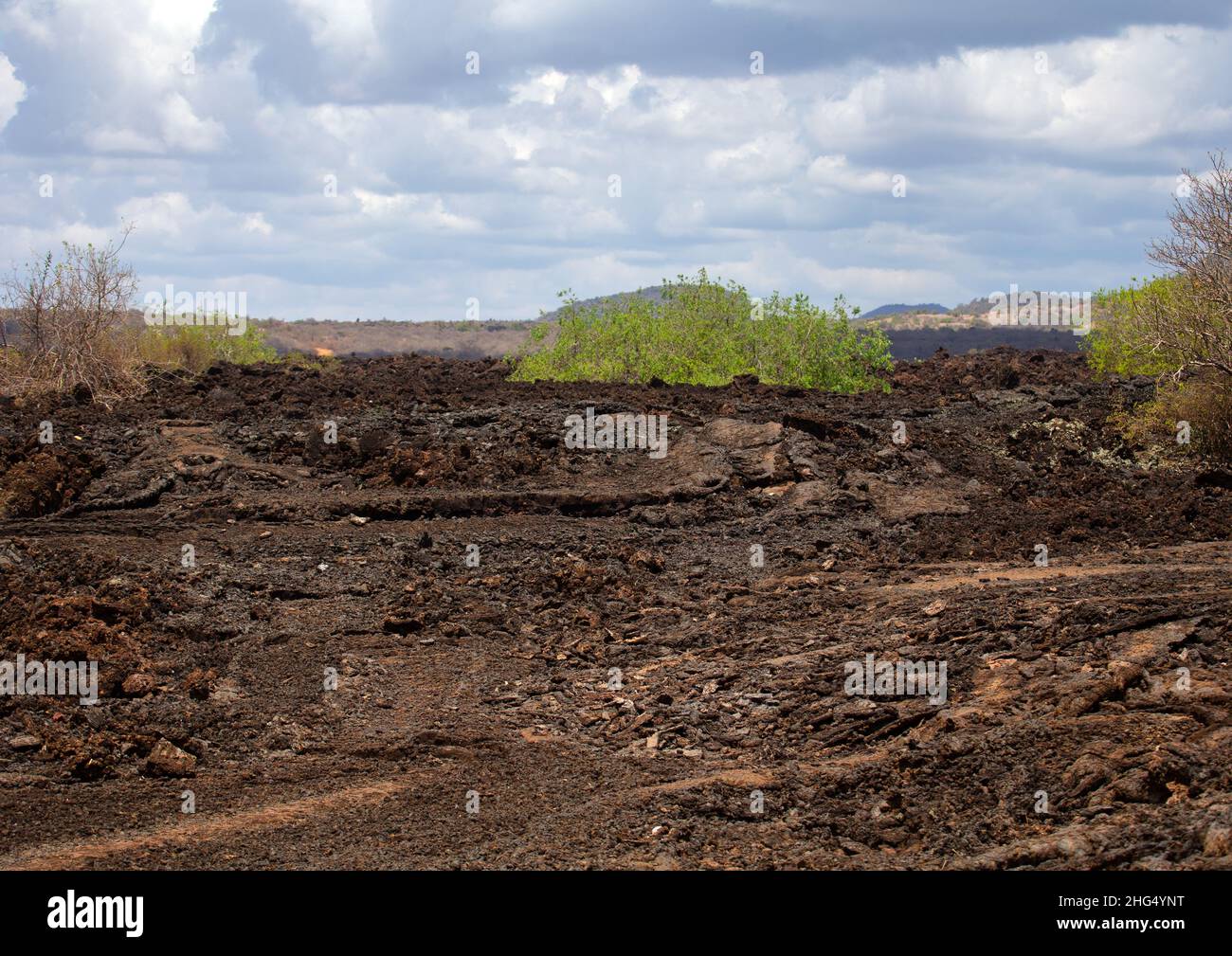 Shetani lava flow landscape, Coast Province, Tsavo West National Park ...